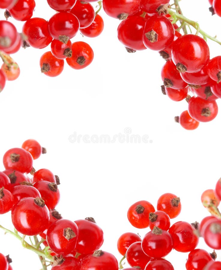 Pasa fresca foto de archivo. Imagen de dieta, bocado, pasa - 2700786