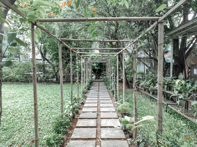 Pasadizo De Madera Como Puerta Imagen de archivo - Imagen de backyard ...