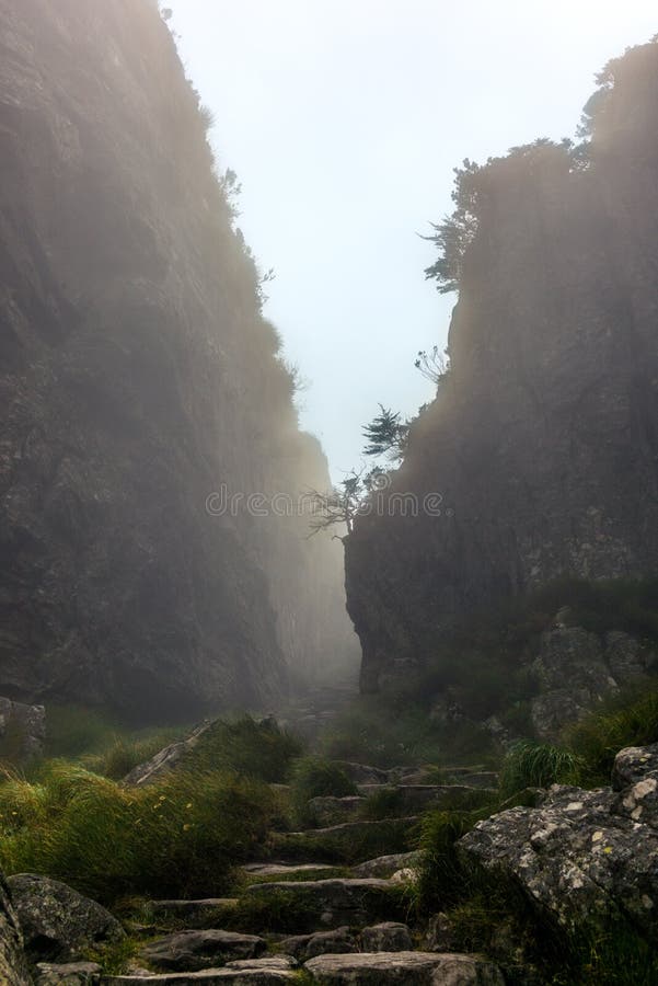 Pasando Una Roca Gorge Con Las Paredes Escarpadas Mientras Que Camina ...