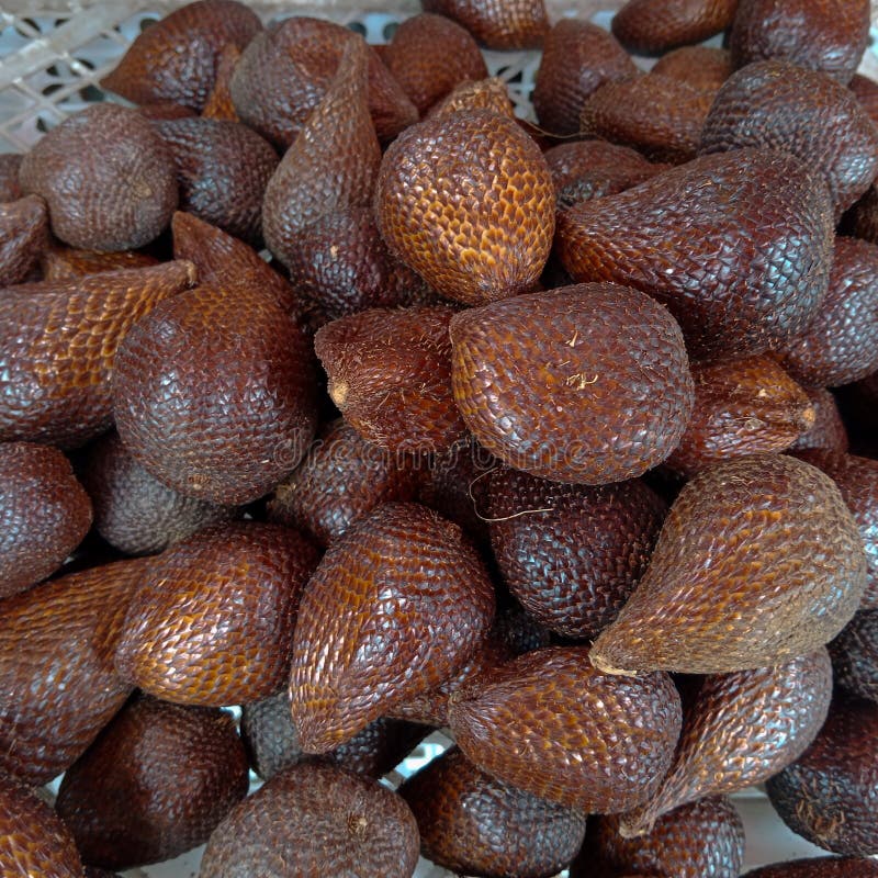 Pasar Raya Padang, 25 January 2023, Pile of Pondo Snake Fruit Stock ...