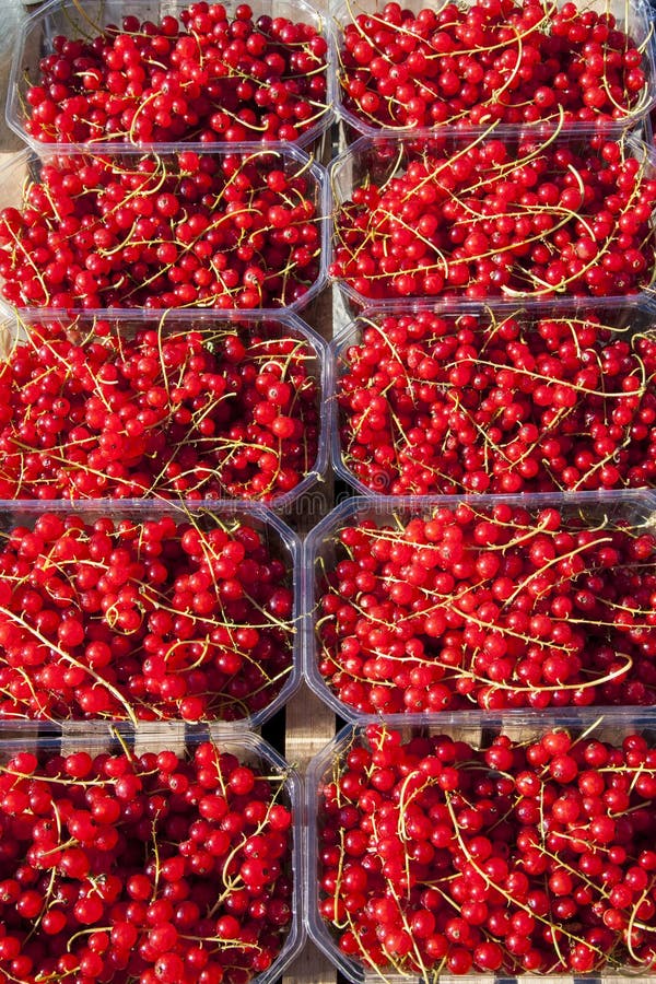 Pasas En Cajas En El Mercado Imagen de archivo - Imagen de travieso ...
