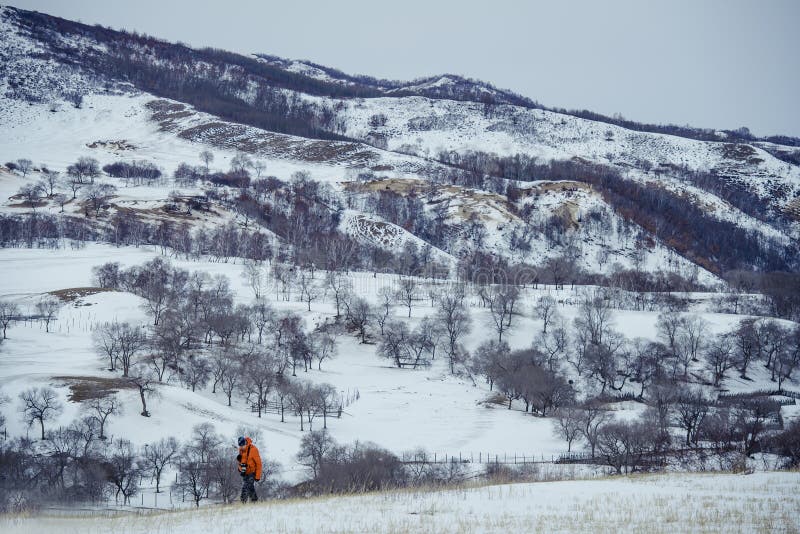 Pascoli Di Ulan Buh Nell'inverno Fotografia Editoriale - Immagine di ...
