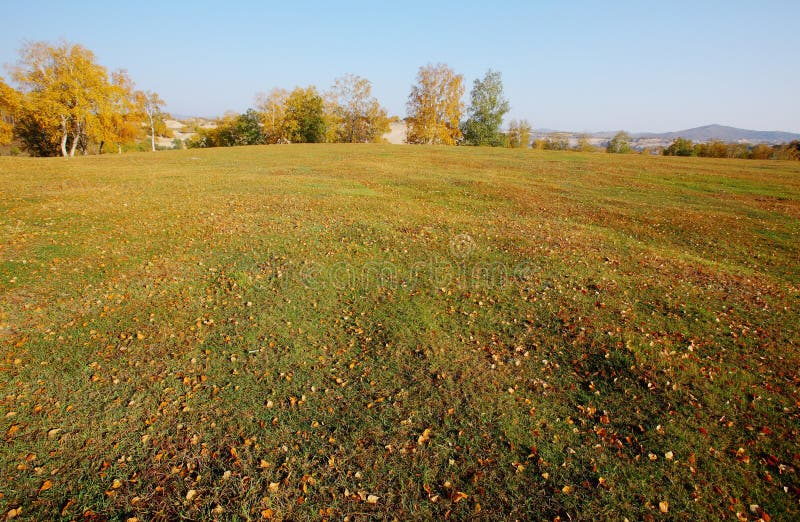 Pascolo immagine stock. Immagine di pascolo, caduta, stagione - 6945553