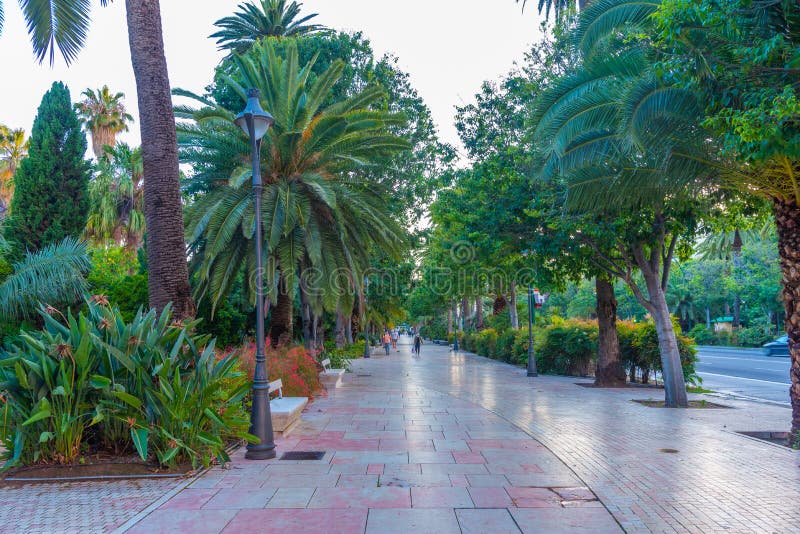 Paseo Del Parque in Malaga, Spain. Stock Image - Image of europe ...