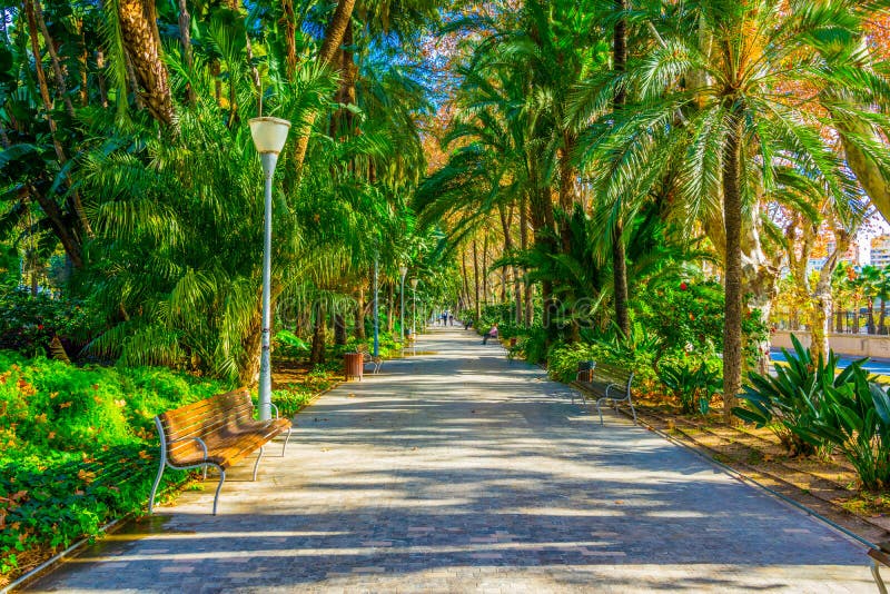 Paseo Del Parque in Malaga, Spain....IMAGE Stock Photo - Image of palms ...