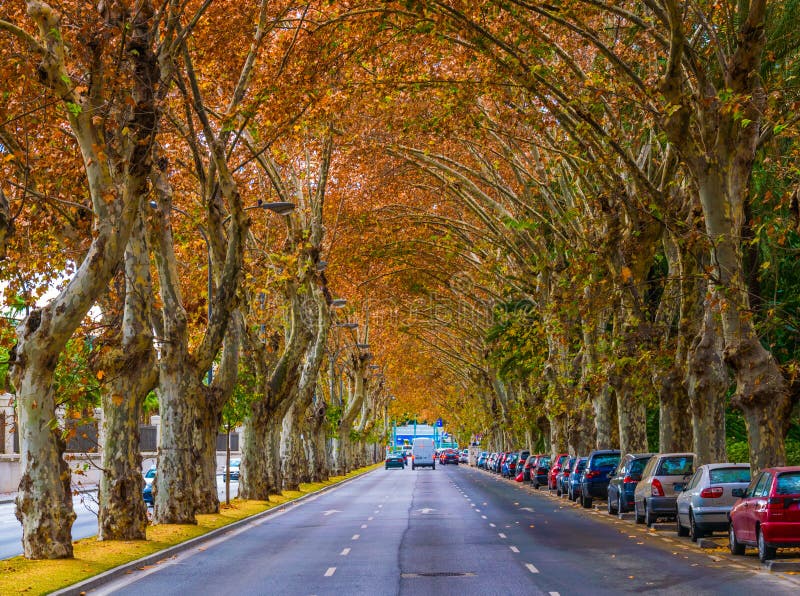 Paseo Del Parque in Malaga, Spain....IMAGE Editorial Stock Image ... Paseo Del Parque in Malaga, Spain....IMAGE Editorial Stock Image ...