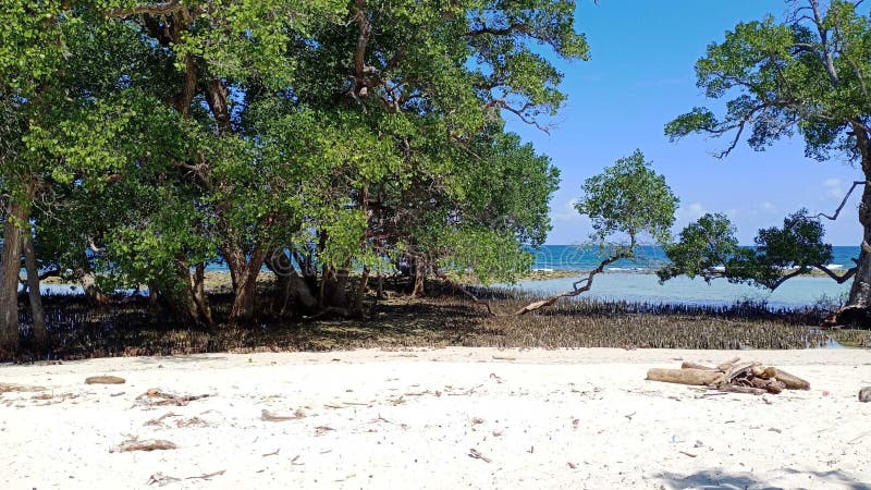 Pasir Putih Beach stock image. Image of pasir, putih - 202387645