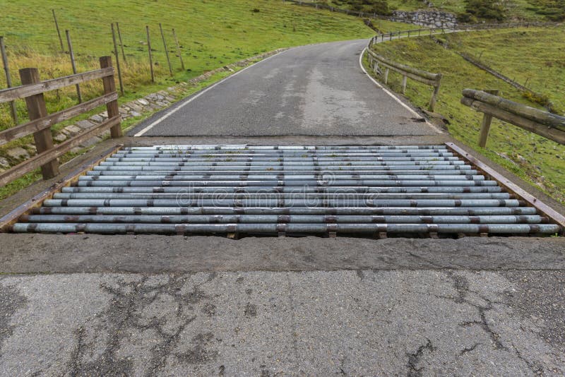 Paso Canadiense Para El Ganado Foto de archivo - Imagen de campo, canadiense: 119393450