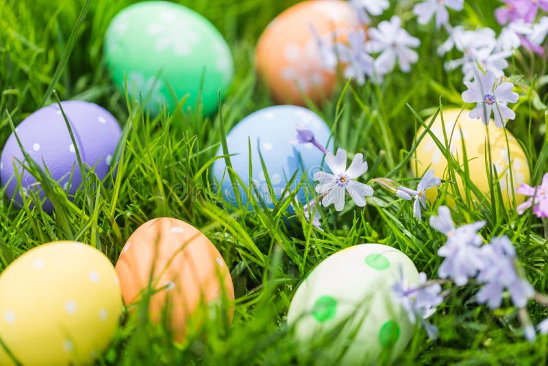 Pasqua fotografia stock. Immagine di uovo, colore, fronte - 117980574