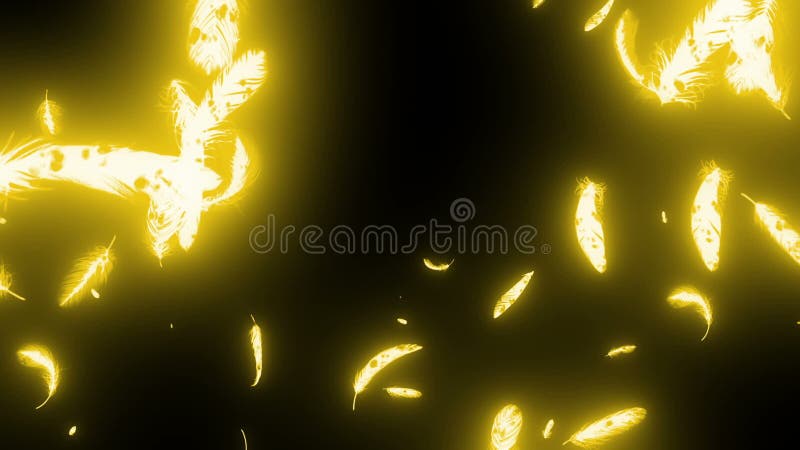 Pass_through_feather stock footage. Video of background - 68510432