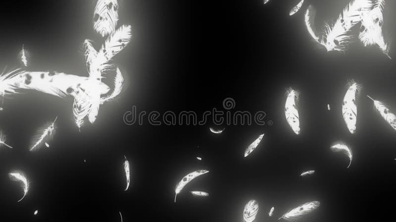 Pass_through_feather stock footage. Video of material - 68525746