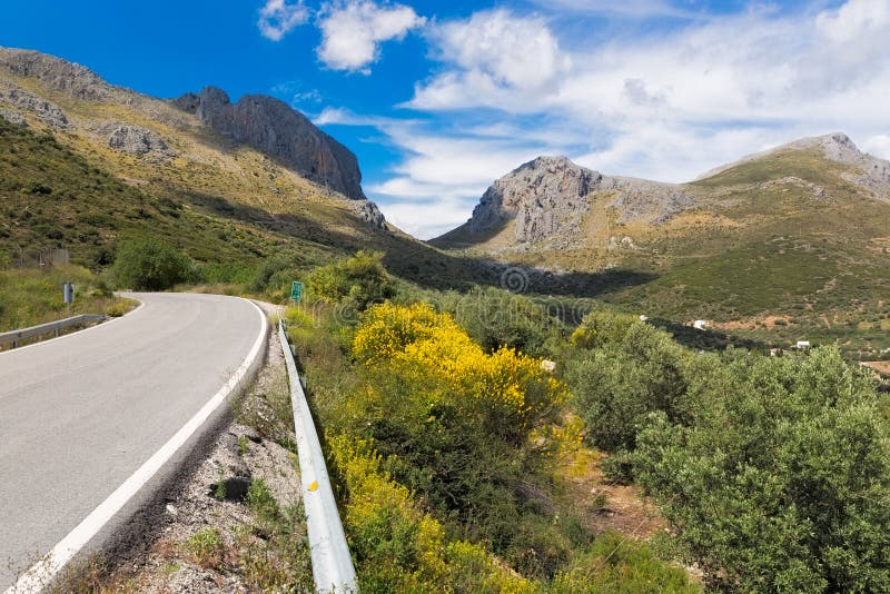 A pass road in the forest stock photo. Image of road - 234429514