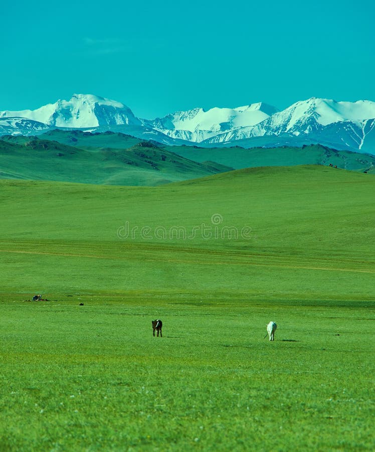 Pass Ulaan davaa stock photo. Image of davaa, stone - 247617316