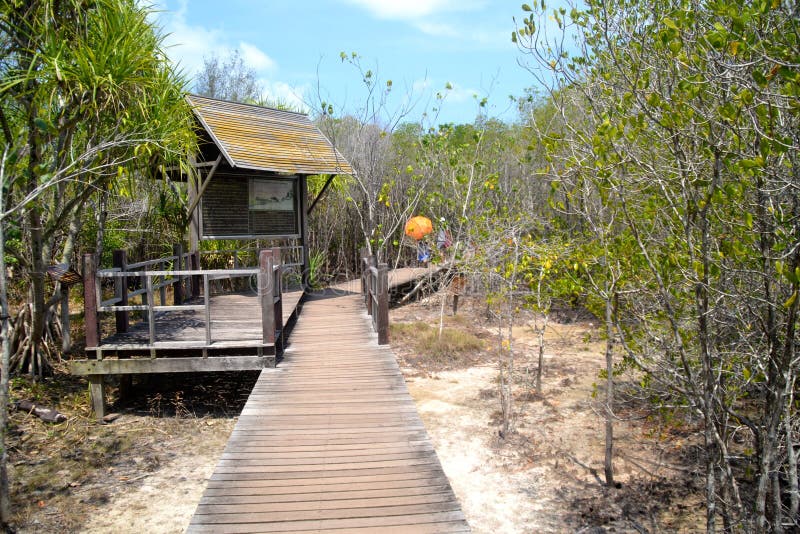 Passage stock image. Image of wood, wake, walk, runway - 53706273