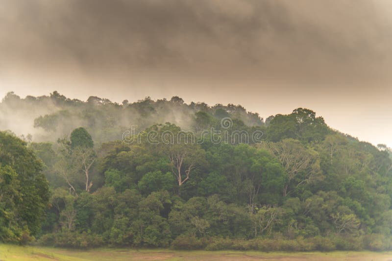 Periyar Tiger Reserve, Thekkady, India Editorial Stock Image - Image of ...