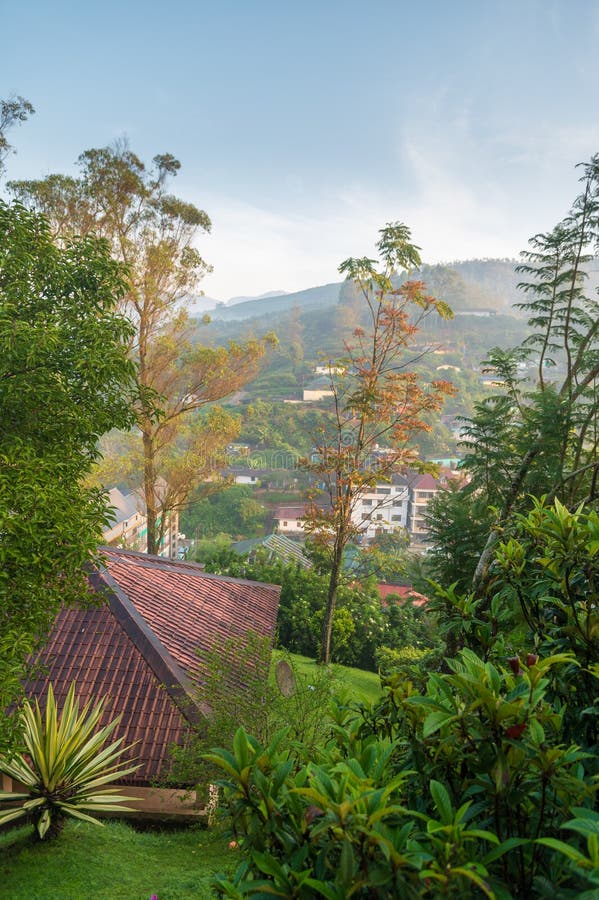 Misty Morning in Munnar from the Tea County Hill Resort Stock Image ...