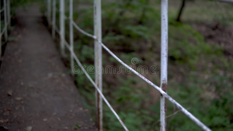 Passage Over the Bridge in the Middle of the Forest. First-person View ...