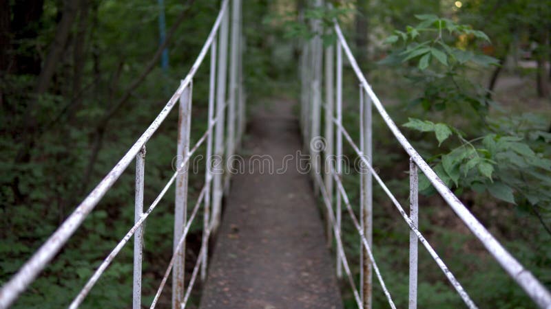 Passage Over the Bridge in the Middle of the Forest. First-person View ...