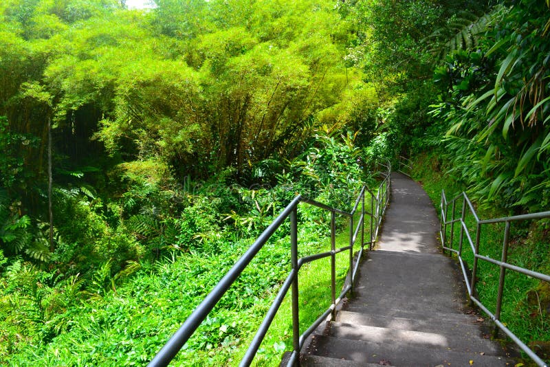 12,621 Beautiful Tropical Pathway Stock Photos - Free & Royalty-Free ...