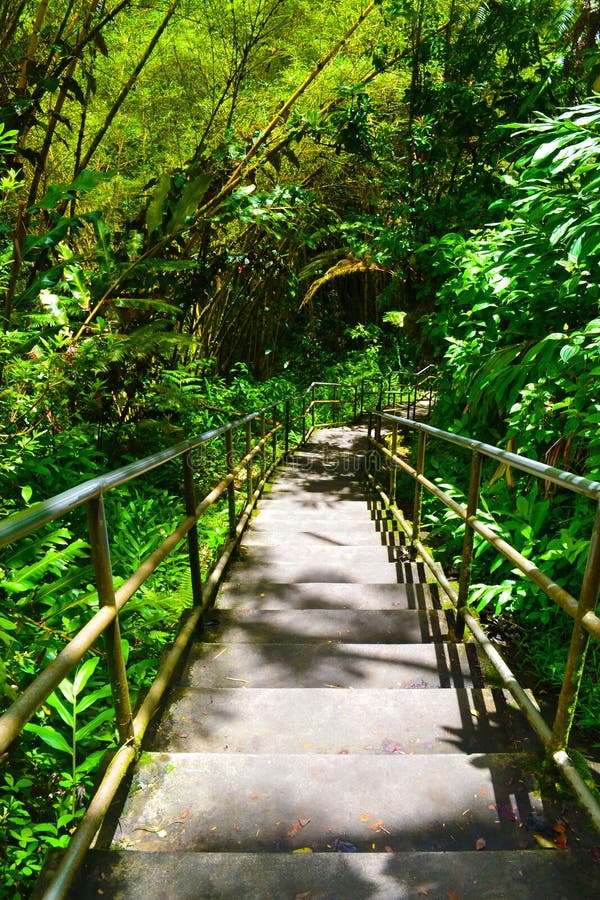 Passage to Paradise stock photo. Image of canopies, construct - 52350208