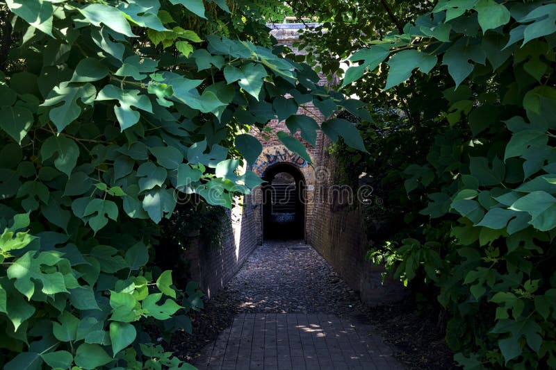 Passageway in a Wall Seen through Plants Stock Image - Image of brick ...