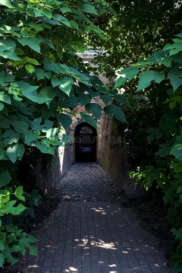 Passageway in a Wall Seen through Plants Stock Photo - Image of ...