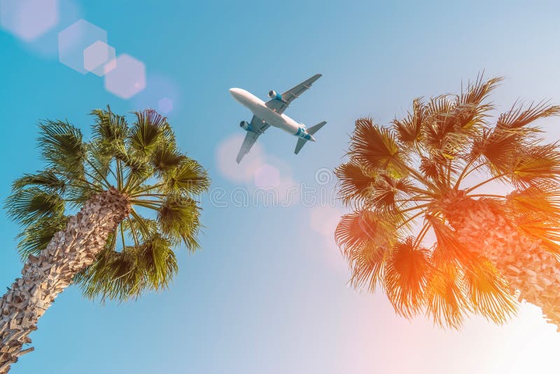 Passenger Airplane Flying Above the Palm Trees Against the Blue Sky ... Passenger Airplane Flying Above the Palm Trees Against the Blue Sky ...