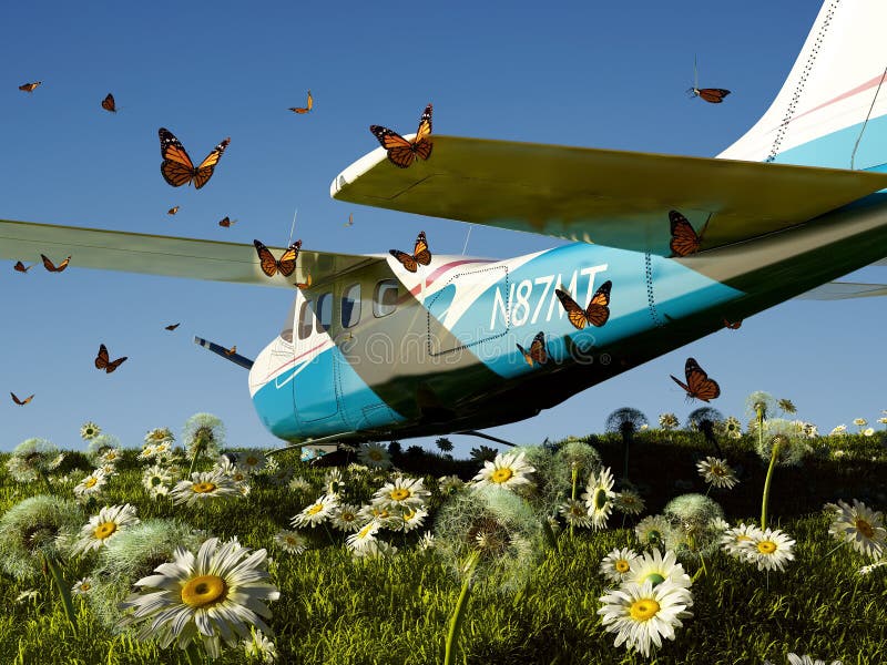 Sky Pilot Flowers Stock Illustrations – 30 Sky Pilot Flowers Stock ...