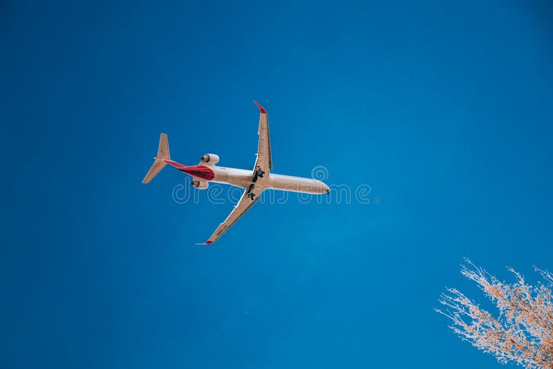 Passenger Flight editorial stock photo. Image of pilots - 65020218