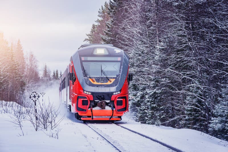 Passenger Train Moves through the Forest Stock Image - Image of evening ...