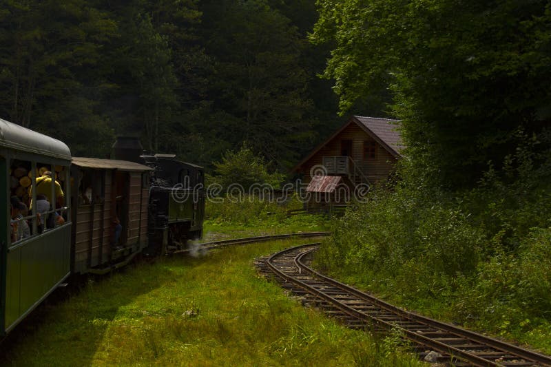 Passenger Train on the Railway in the Forest Stock Photo - Image of ...