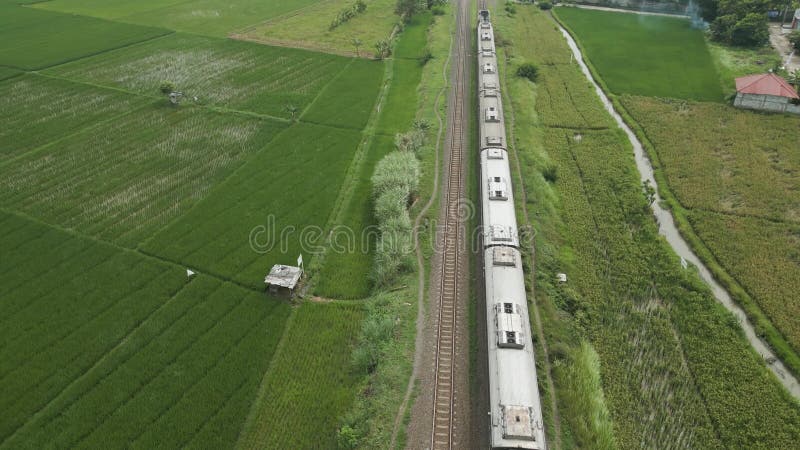 A Passenger Train Passes through the Rice Fields Stock Video - Video of ...