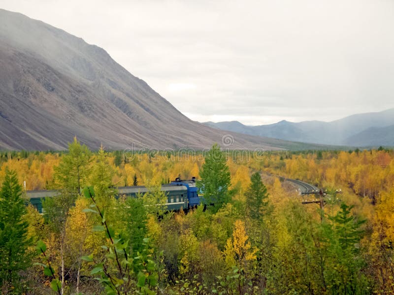 The Passenger Train through the Forest. Railway through Stock Photo ...