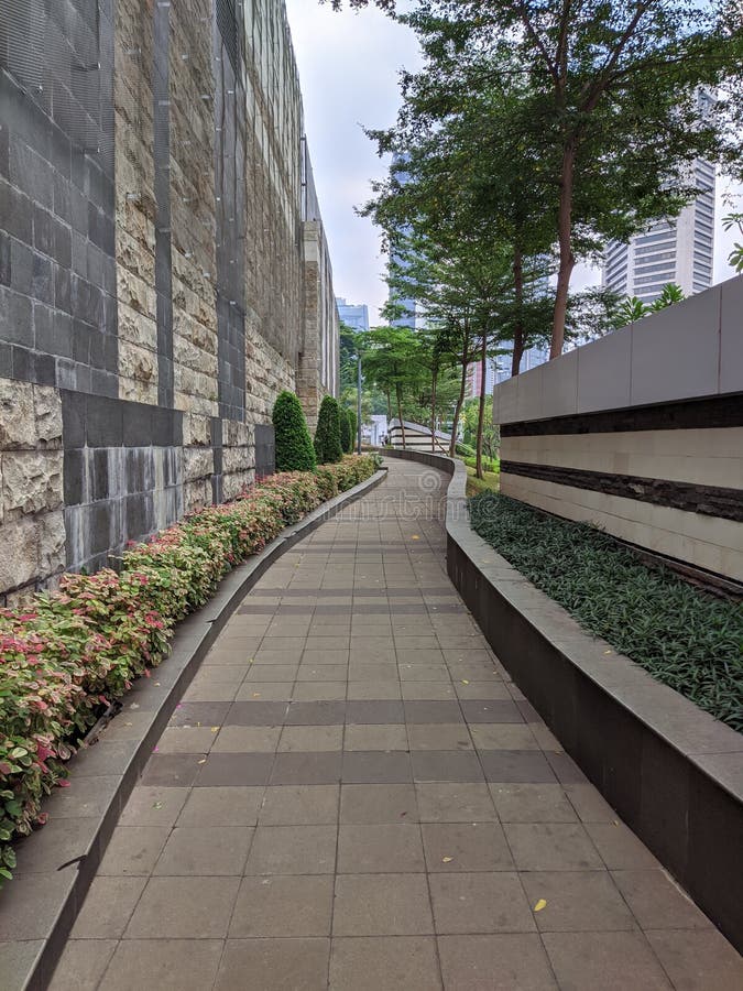 A Street with Brown Floor and Trees beside Stock Photo - Image of ...