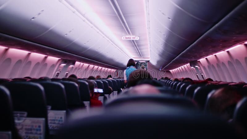 Passengers in Plane Sitting in Their Seats and Flight Attendant is ...