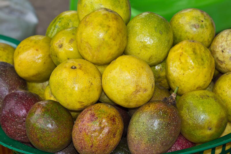 Passiflora fruit stock image. Image of vine, food, closeup - 22633789
