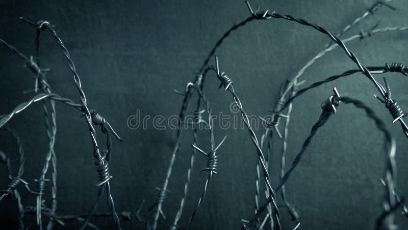 Security Barbed Wire by Wall Moving Shot Stock Footage - Video of ...