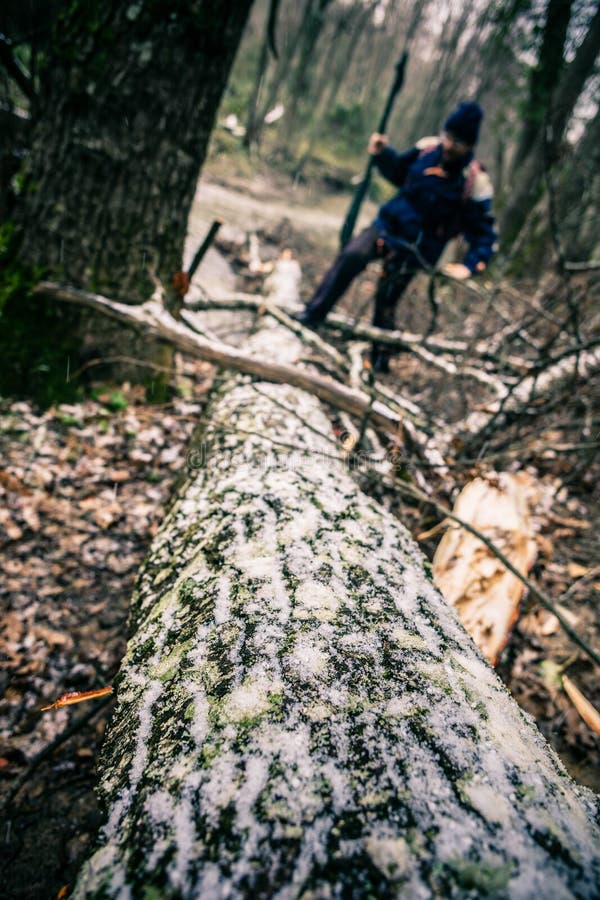 Passing a log stock photo. Image of gangway, focus, hiking - 31385772