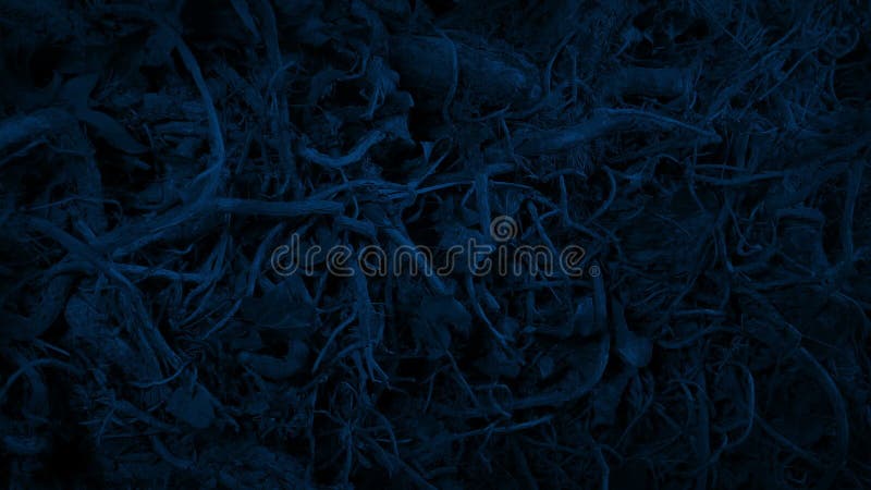 Passing Mesh of Tree Roots stock footage. Video of construction - 288873096