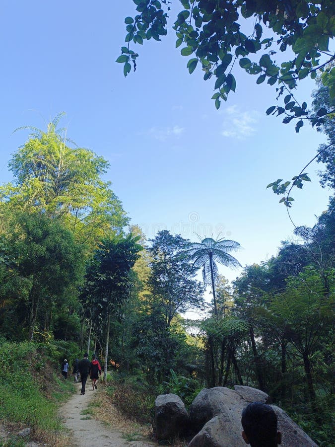 Passing Trees and Rocks at the Camping Site Stock Photo - Image of ...