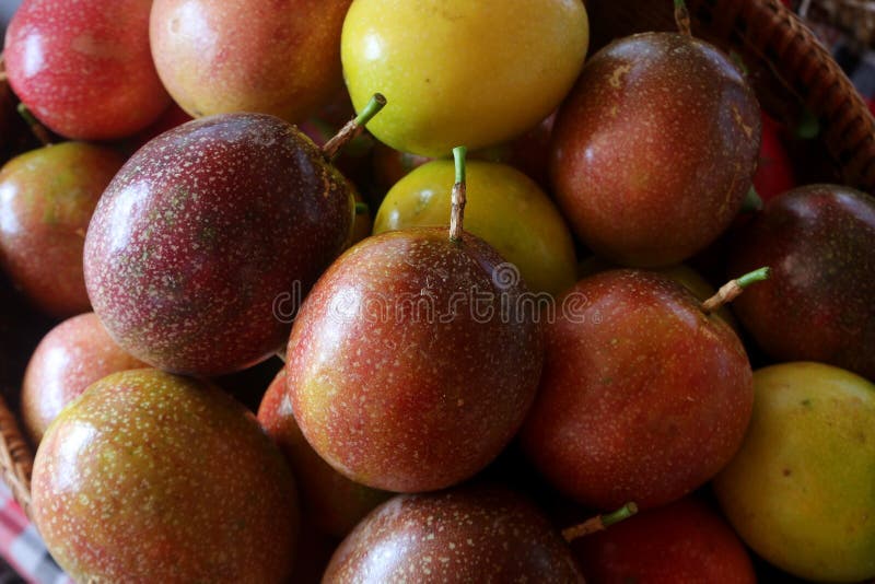 Passion fruit in a basket stock photo. Image of passion - 233957358