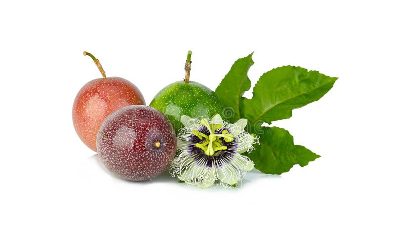Three Colour Passion Fruit Isolated on White Background Stock Photo ...