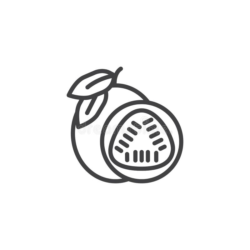Passion Fruit Line Icon Stock Vector Illustration Of Pixel 158310334