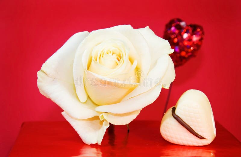 Passionate Love - White Rose and Glowing Hearts Stock Image - Image of ...