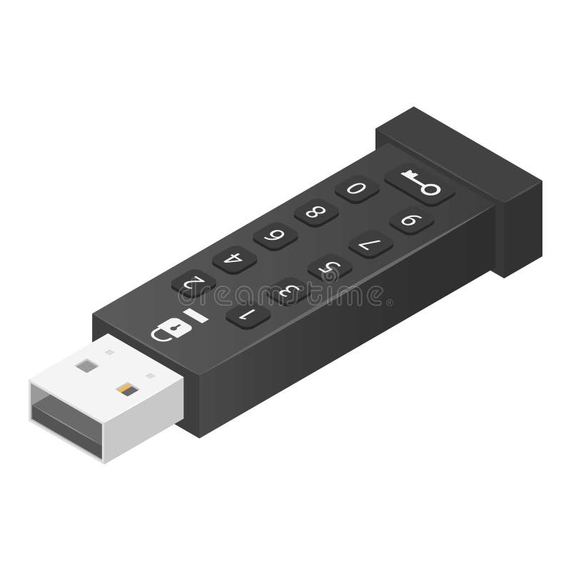 Password Usb Flash Icon, Isometric Style Stock Vector - Illustration of ...