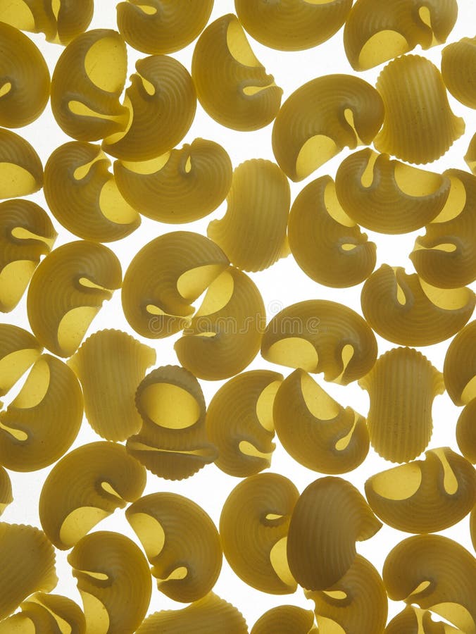 Pasta with backlit stock photo. Image of glowing, gomiti - 75881500