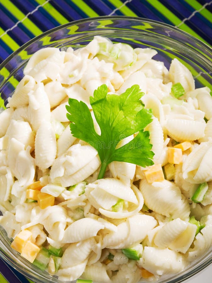 Pasta Collection - Shells Salad Stock Photo - Image of pasta, salad ...