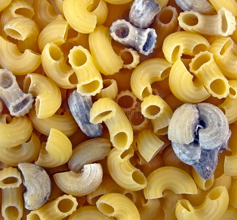 Muffa su pasta fotografia stock. Immagine di alimento - 36975036