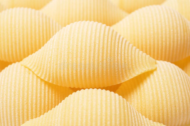Conchiglie (Seashell Shaped) Pasta Stock Image - Image of dinner, group ...
