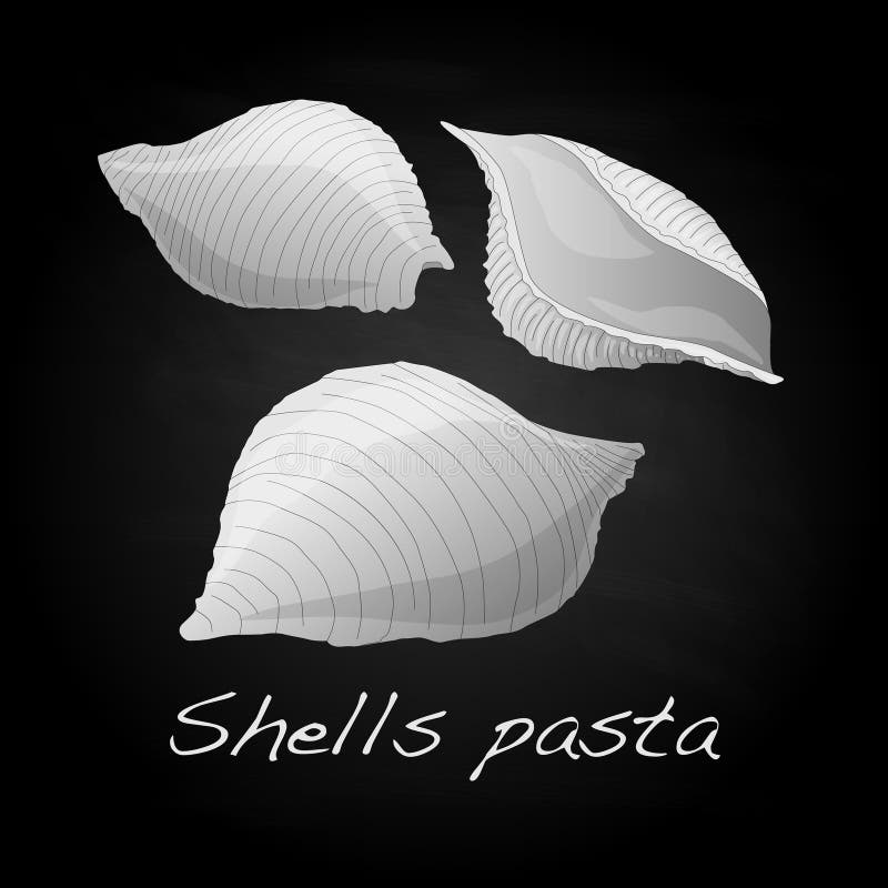 Pasta of Shell Macaroni Products with Prawns Served on Plate Vector ...